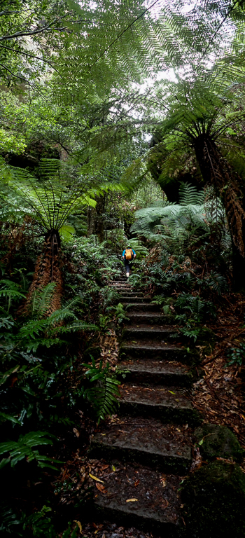 Grand Canyon Loop – sleepwhenwearedead