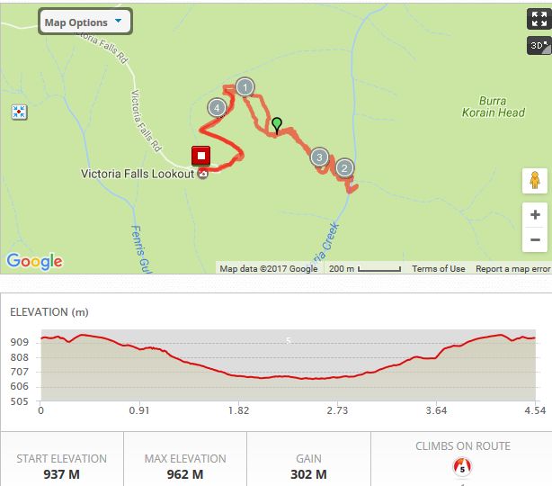 Silver Cascades – sleepwhenwearedead