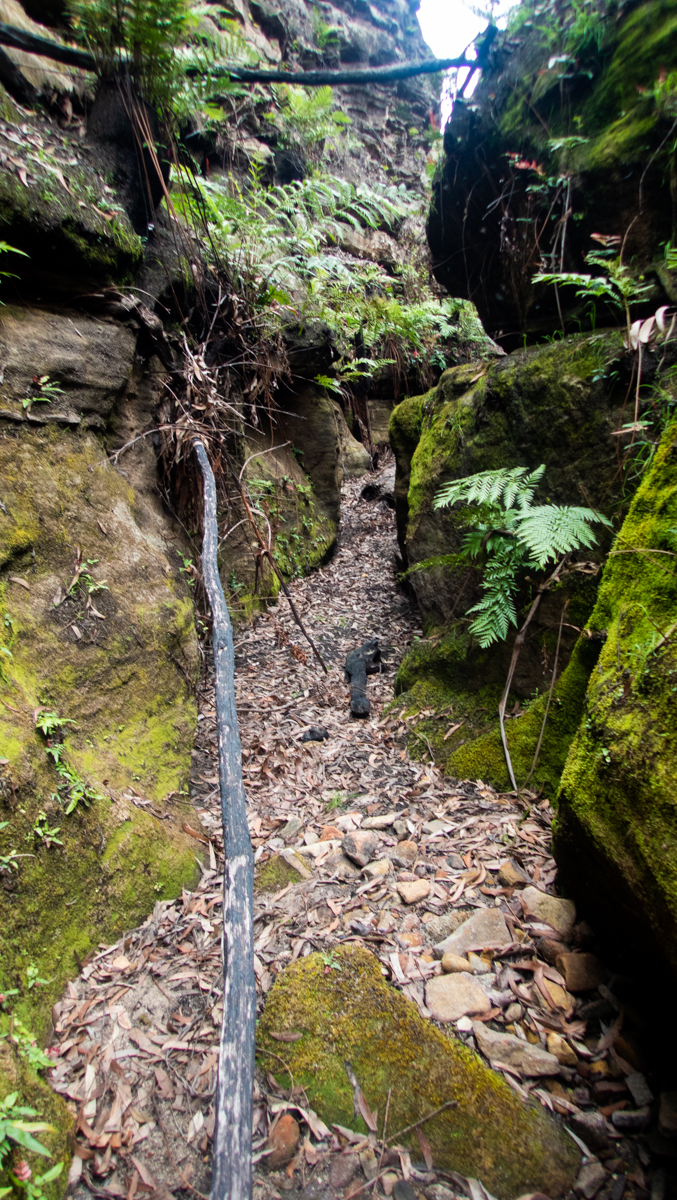 Kamarah Gully – sleepwhenwearedead