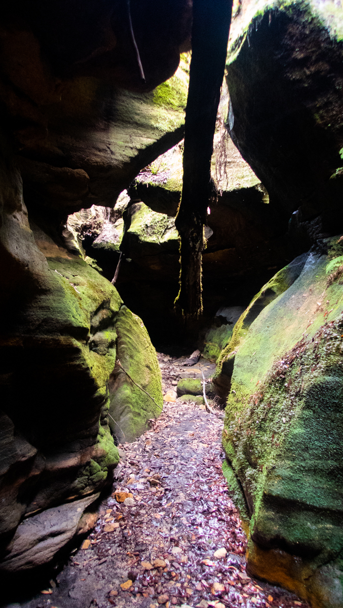 Kamarah Gully – sleepwhenwearedead