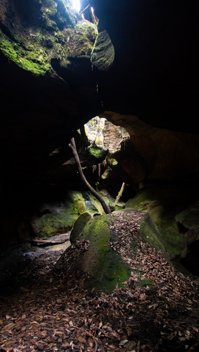 Kamarah Gully – sleepwhenwearedead