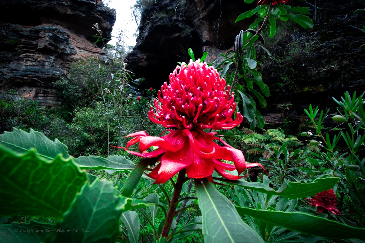 Popeye canyon, upper – sleepwhenwearedead